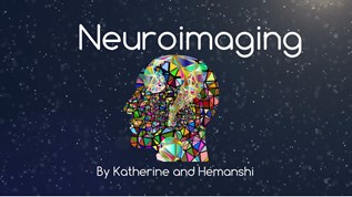 Neuroimaging at emaze Presentation