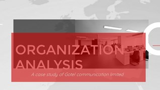 Organization analysis at emaze Presentation