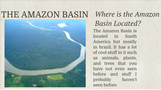 The Amazon Basin at emaze Presentation
