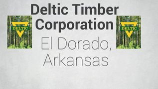 Deltic at emaze Presentation