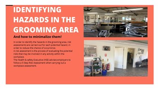 IDENTIFYING HAZARDS IN THE GROOMING AREA at emaze Presentation