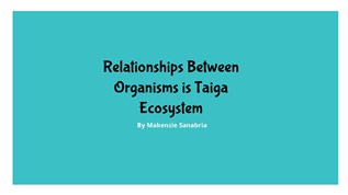 Relationships Between Organisms is Taiga Ecosystem at emaze Presentation