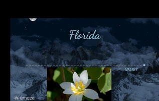 florida study at emaze Presentation