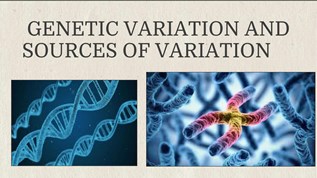 Genetic variation and sources of variation at emaze Presentation