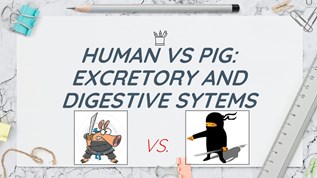 HUMAN VS PIG at emaze Presentation