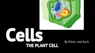 The Plant Cell at emaze Presentation