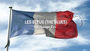Les Bleus (the blues) at emaze Presentation
