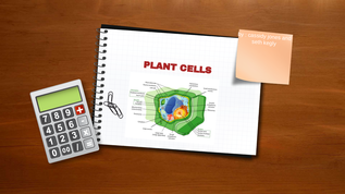 Cells at emaze Presentation