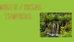 BOSQUE / SELVA TROPICAL on emaze
