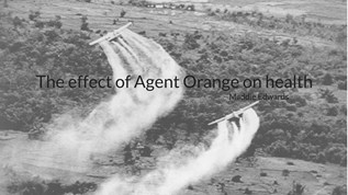 Agent Orange's effect on health at emaze Presentation