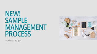 Sample Management Process at emaze Presentation