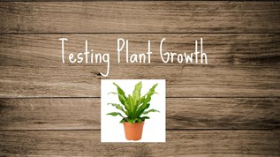 Testing Plant Growth at emaze Presentation