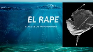 EL RAPE at emaze Presentation