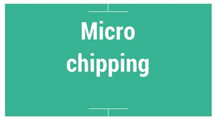 Micro chipping at emaze Presentation