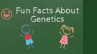 Fun Facts About Genetics at emaze Presentation