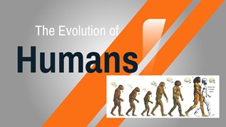 Humans at emaze Presentation