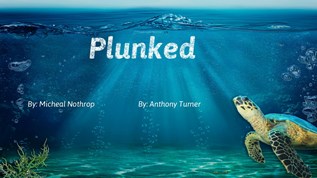 Plunked at emaze Presentation