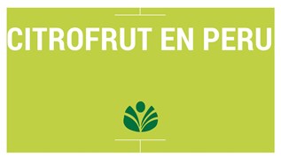 CITROFRUT EN PERU at emaze Presentation