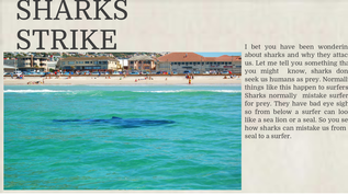 why do sharks attack humans at emaze Presentation