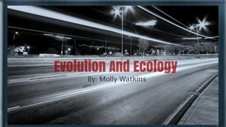 Evolution and Ecology at emaze Presentation