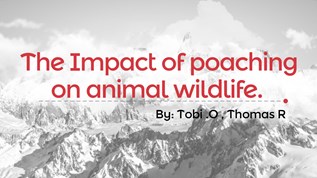The impact of poaching extinctions at emaze Presentation