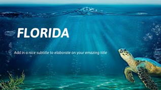 Florida at emaze Presentation