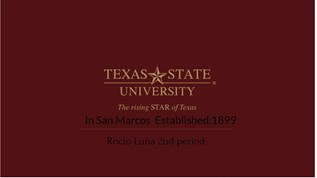 Texas Stat at emaze Presentation