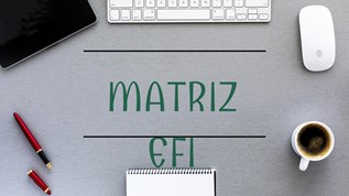 MATRIZ EFI Y EFE at emaze Presentation