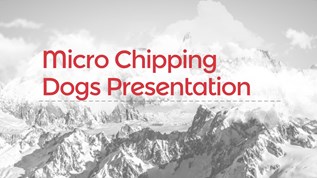 Micro Chipping Dogs Presentation at emaze Presentation