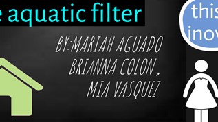 Aquatic Filter at emaze Presentation