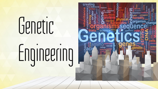 genetic engineering at emaze Presentation