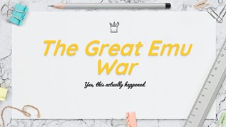 The Great Emu War at emaze Presentation