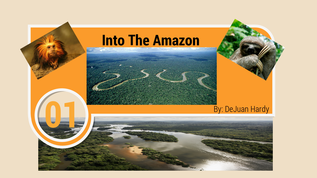 Into the Amazon at emaze Presentation