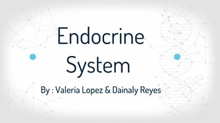Endocrine System at emaze Presentation