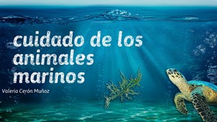cuidado de los animales marinos at emaze Presentation