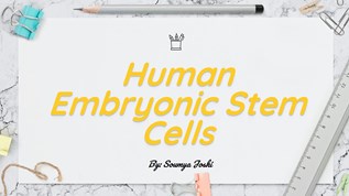 Stem Cells at emaze Presentation