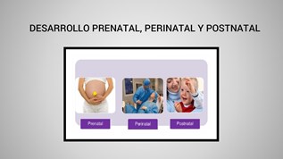 ETAPA PRENATAL, PSICOLOGÍA DEL DESARROLLO.pptx copy1 copy2 at emaze Presentation