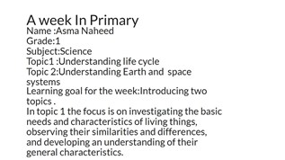 A week In Primary at emaze Presentation