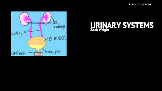 Urinary Systems.pptx at emaze Presentation