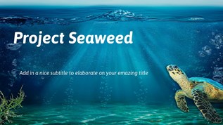 Project Seaweed at emaze Presentation
