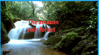 amazon rainforest 21 at emaze Presentation