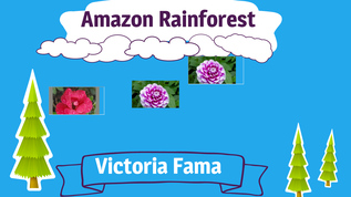 rainforest at emaze Presentation