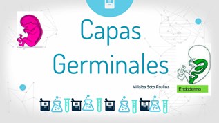 Capas Germinativas at emaze Presentation
