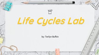 Life Cycles Lab at emaze Presentation