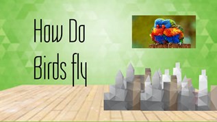 How Do Birds fly at emaze Presentation