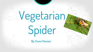 Vegetarian Spider at emaze Presentation