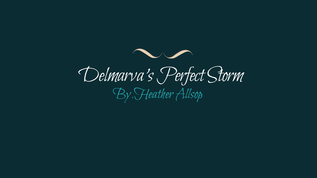 Delmarva's Perfect Storm at emaze Presentation