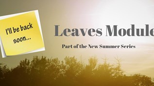 FINAL Leaves Module at emaze Presentation