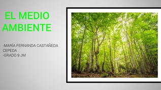 EL MEDIO AMBIENTE at emaze Presentation