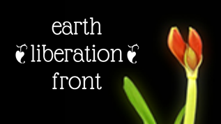 Earth Liberation Front at emaze Presentation